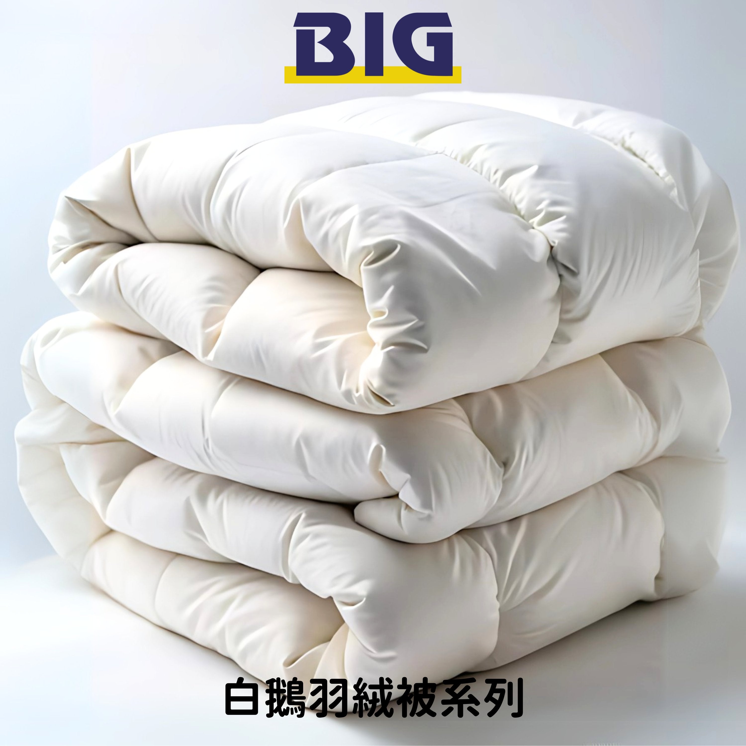 Big Living | Providing High-Quality Down Comforters, Pillows, Towels ...